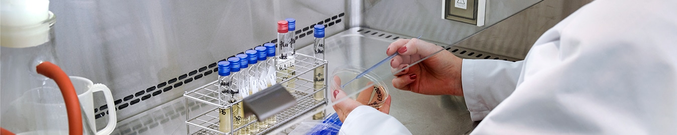 Laboratoires BEA - Full Service support